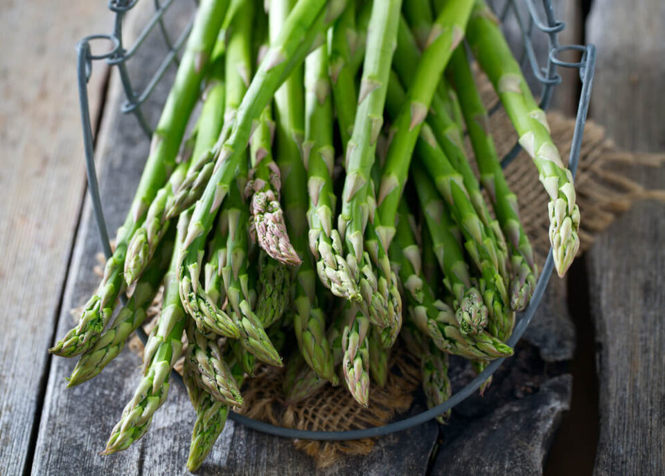 Das solltest du über Spargel wissen