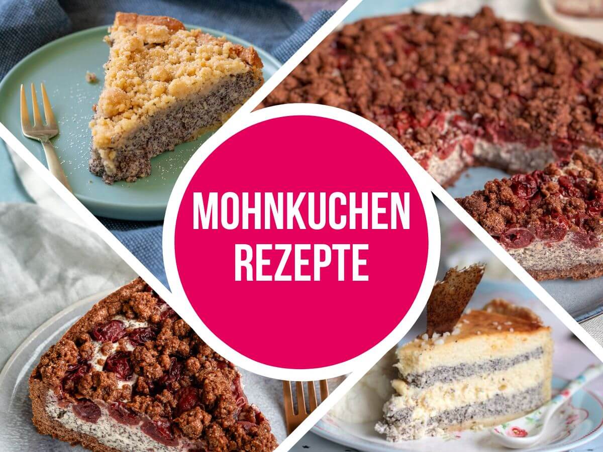 Mohnkuchen Rezepte - saftig, einfach & richtig lecker