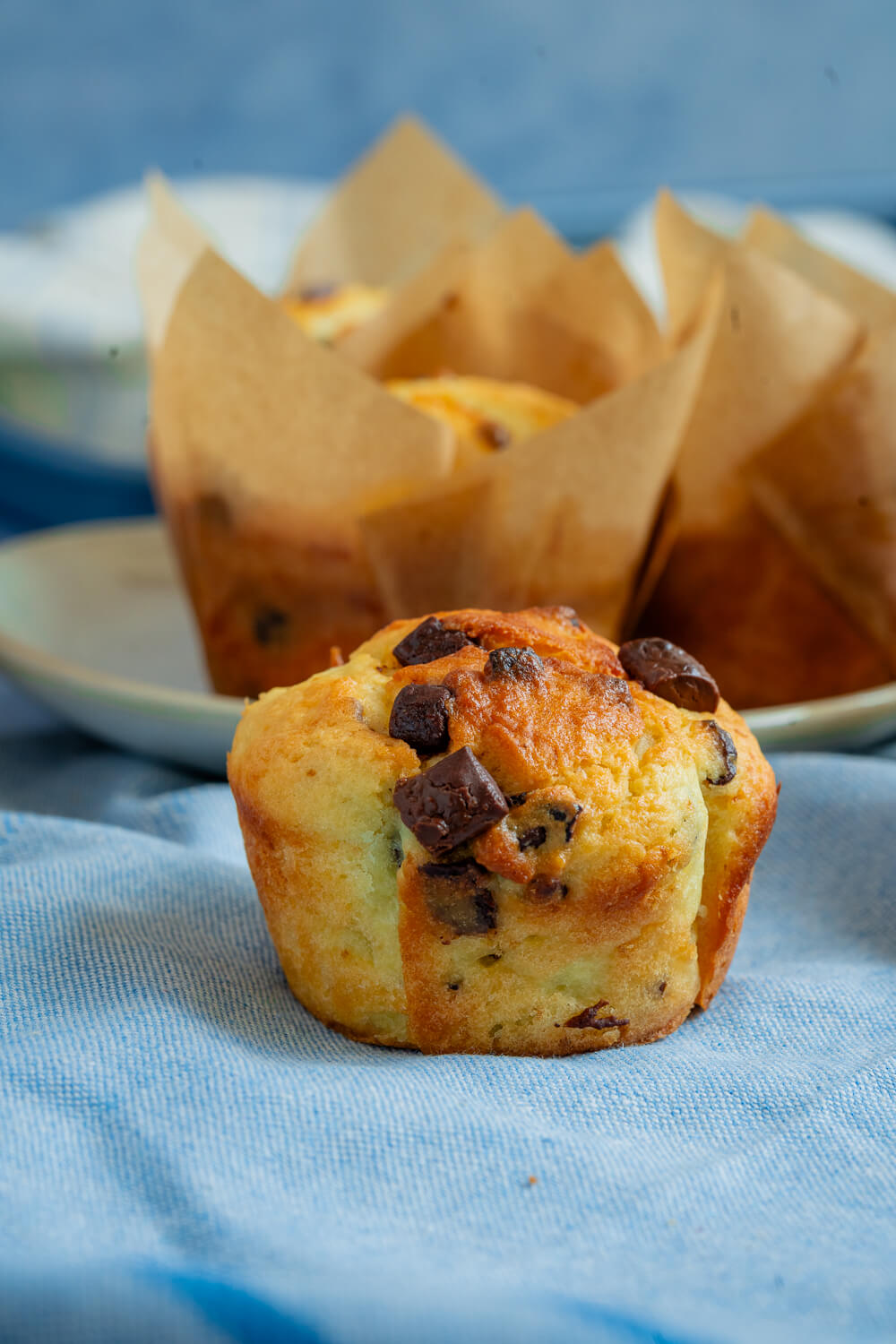 Quarkmuffins mit Schokostückchen – einfaches Muffin-Rezept